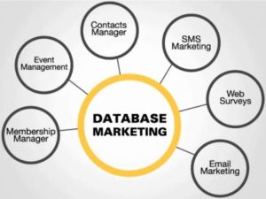 What Is Database Marketing: A Comprehensive Overview | MobileApps.com